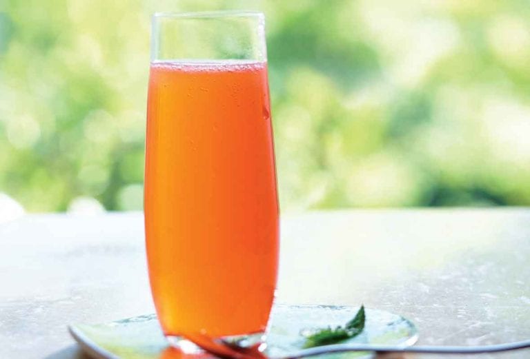 Shrub Cocktail Recipe