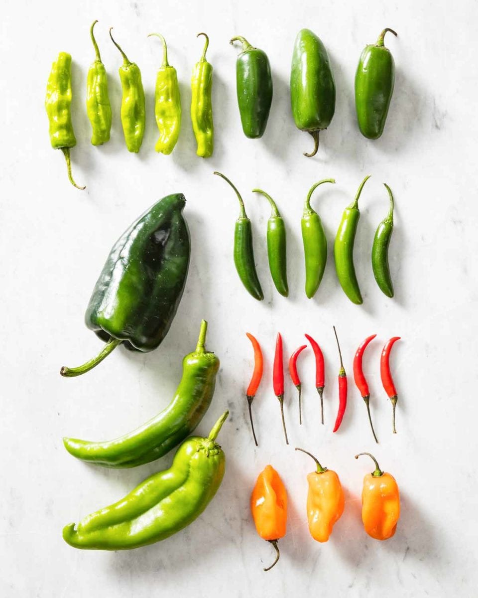 What's the Difference Among the Various Fresh Chile Peppers? | Leite's ...
