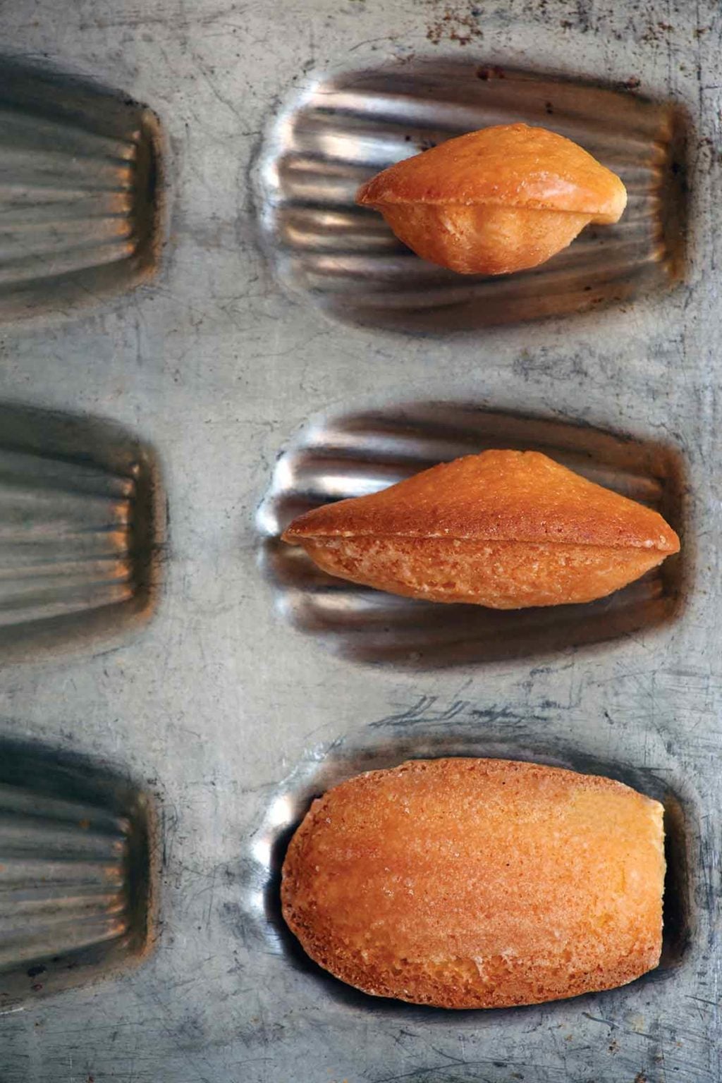 Orange Madeleines – Leite's Culinaria