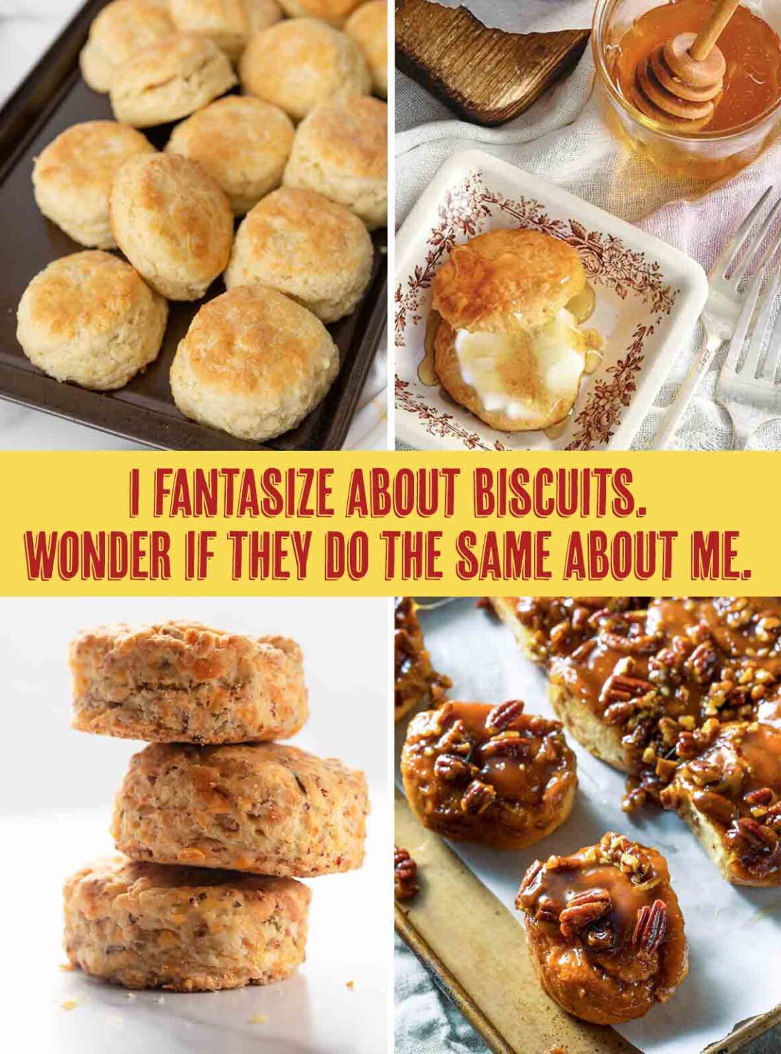 9 Homemade Biscuit Recipes | Leite's Culinaria - Dine Ca